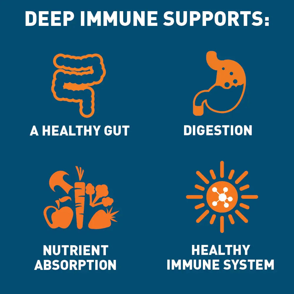 Best Immune System Supplements 2026: Top Picks & Comparison – Dr. Tobias